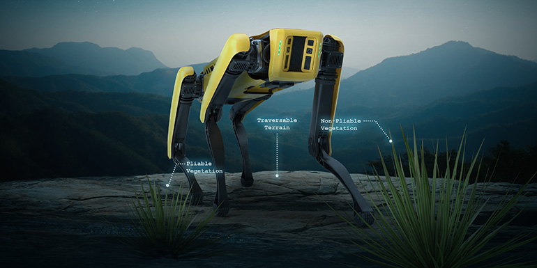 Perception And Navigation Algorithms For Legged Robots Dsiac